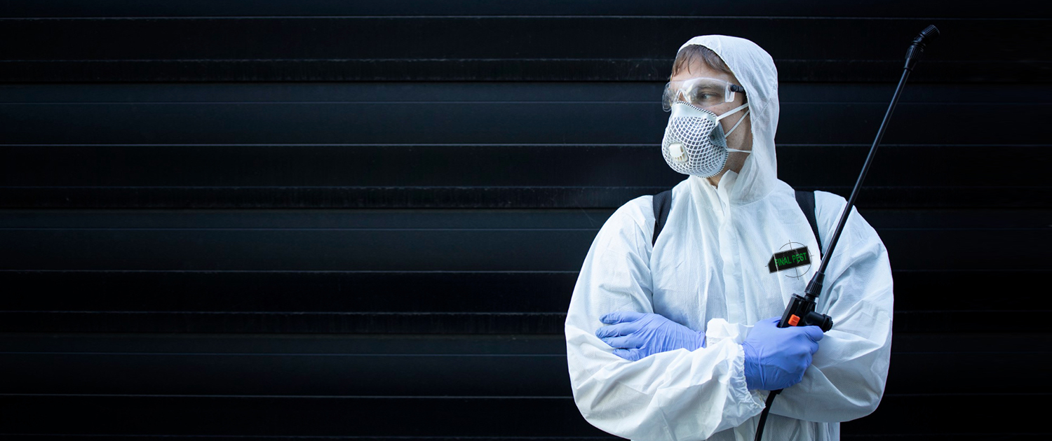 Final Pest – Control profesional de plagas