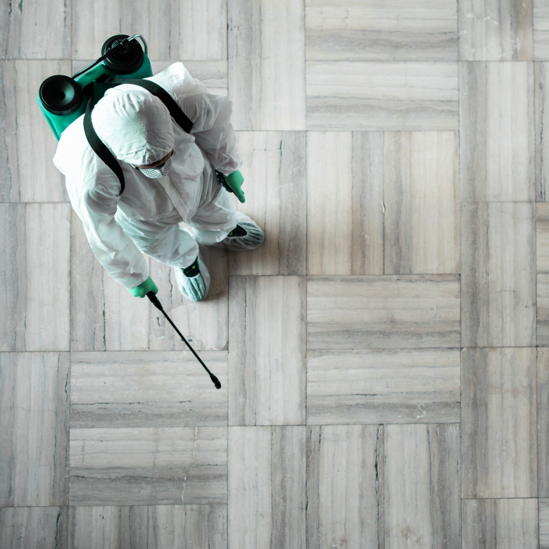 Conócenos – Final Pest